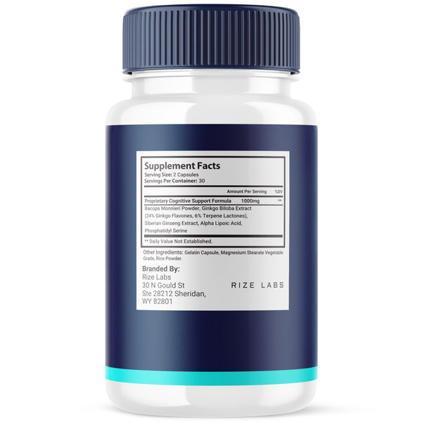 Rize Labs - Memo Max Pro – rizelabs