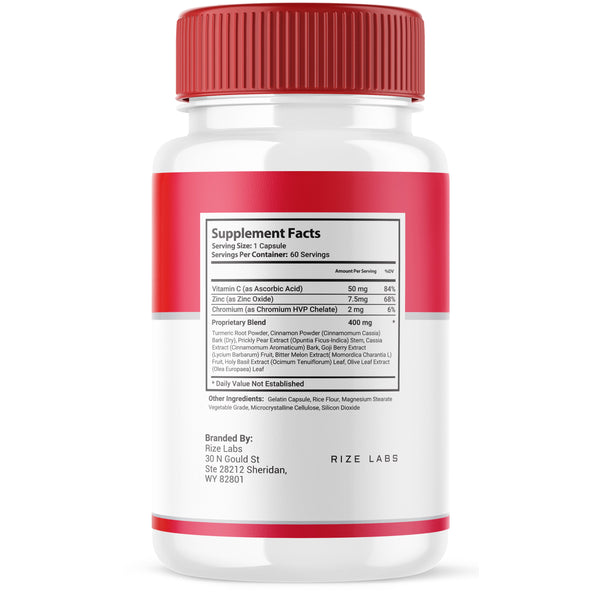 Rize Labs - Meta Fast – rizelabs