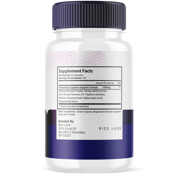Rize Labs - Nerve Fuel – rizelabs