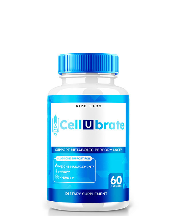 Rize Labs – rizelabs